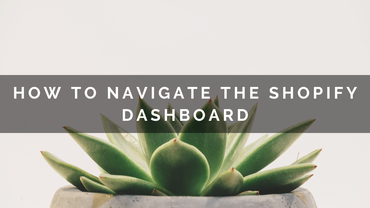 Seamlessly Navigate the Shopify Dashboard - Cour Collaborative